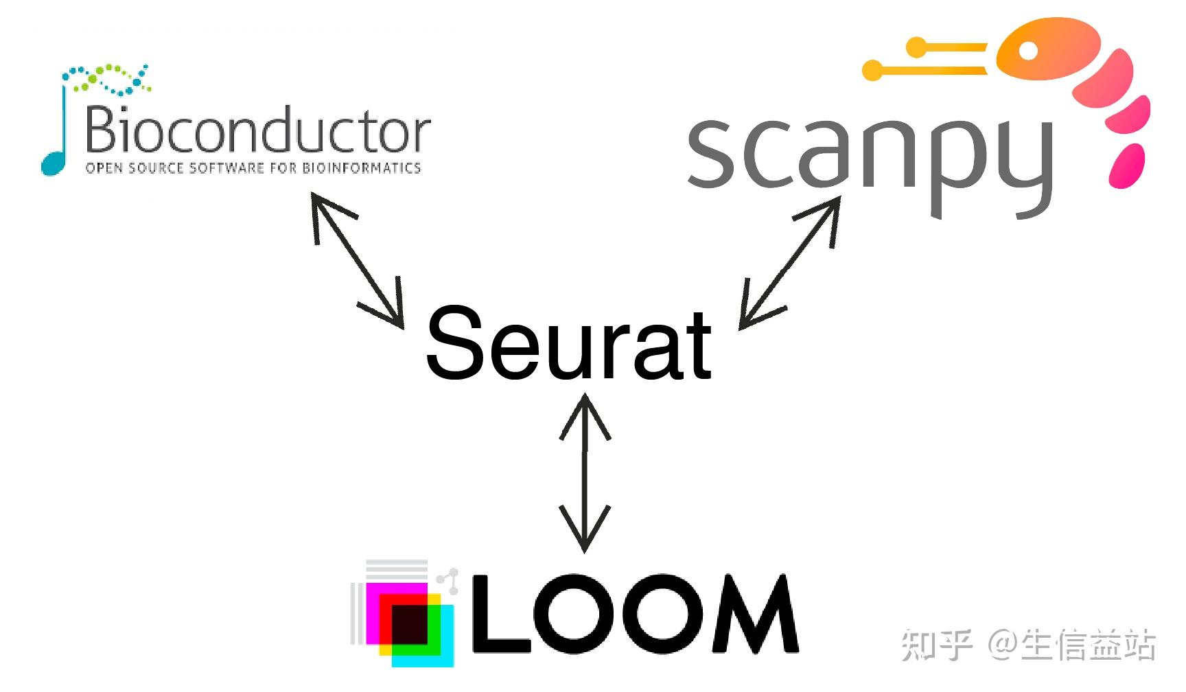 单细胞终极笔记之——Seurat、anndata/h5ad、LOOM、SingleCellExperiment 格式互相转换 - 知乎