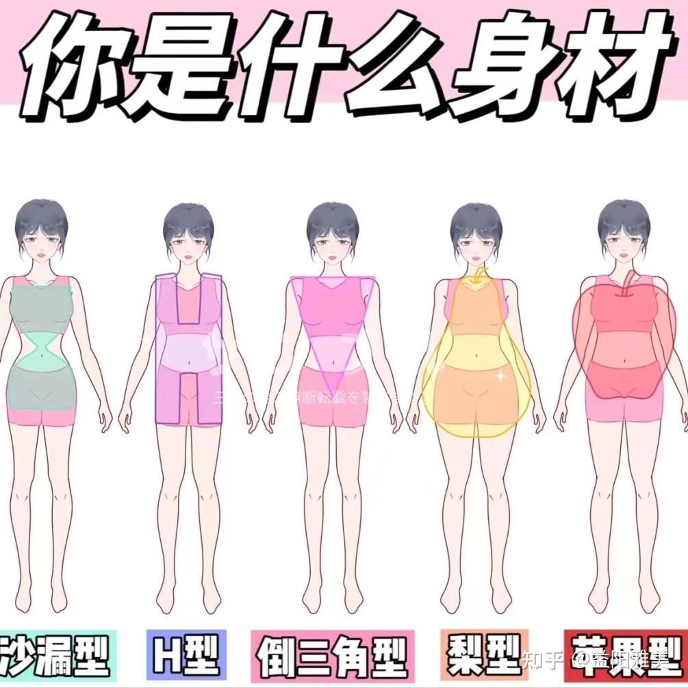 身材自测｜1分钟判断你是什么身材？你了解自己的身材吗？ - 知乎