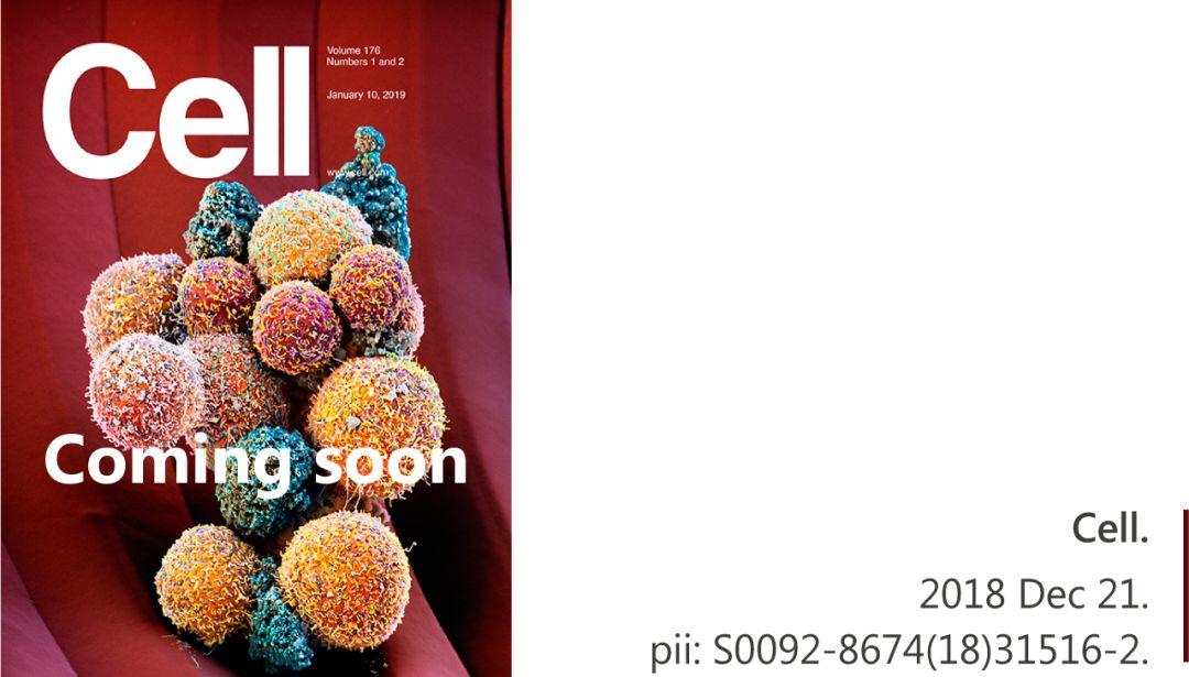 MCE 产品发表高分文章锦集 | MedChemExpress - 知乎