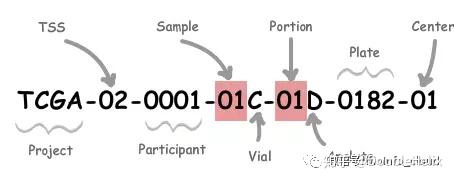 TCGA数据挖掘（一）：TCGAbiolinks包介绍 - 知乎