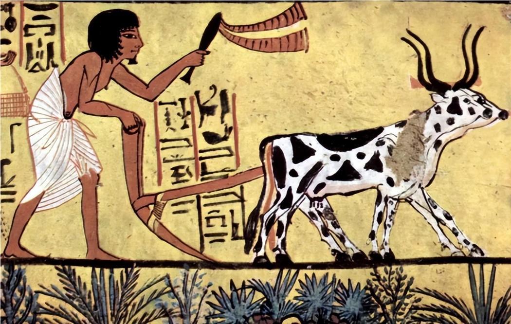 从金字塔到纸张：古埃及文物中的数学，足以惊叹现代人 - 知乎