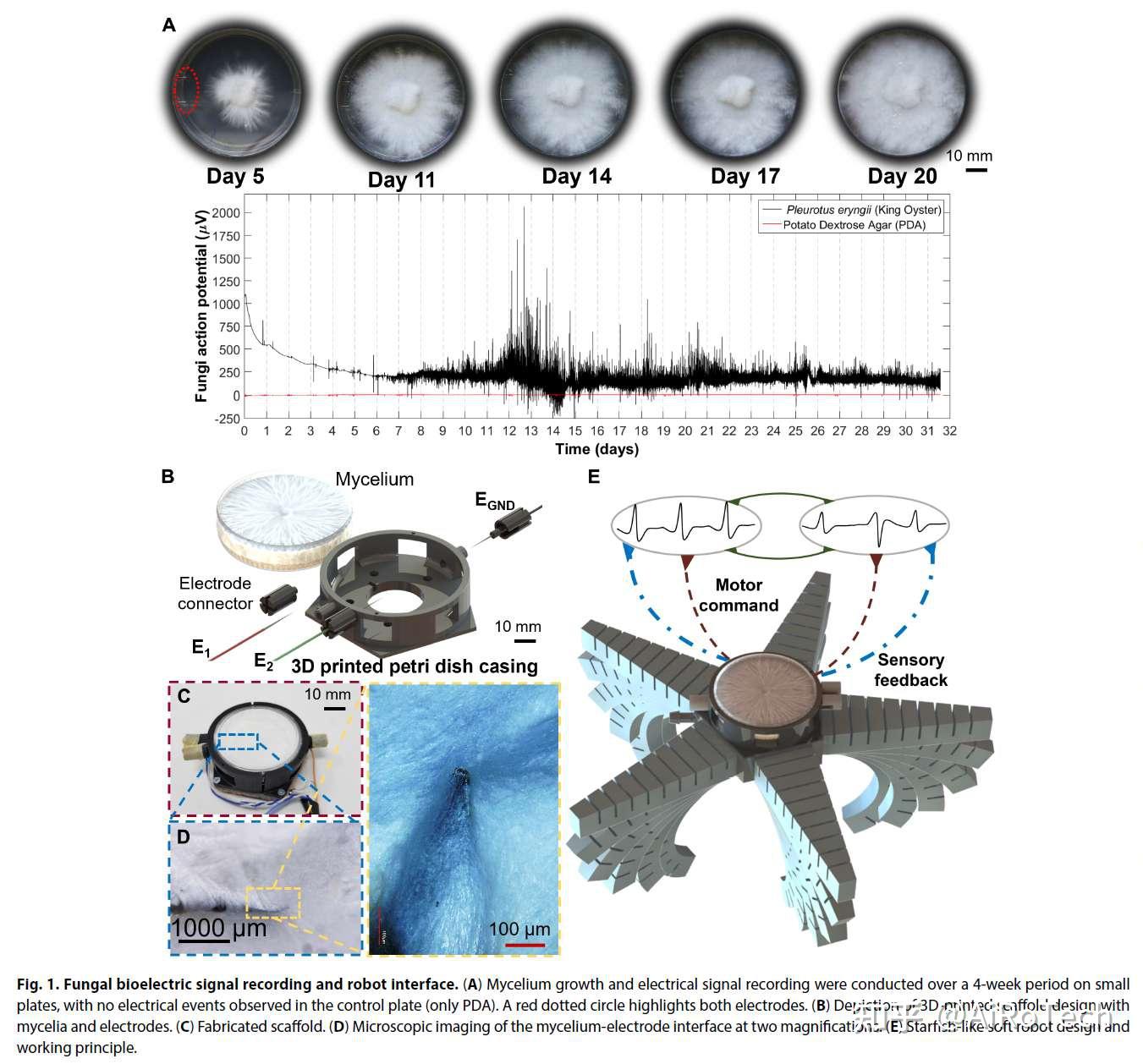 《Science Robotics》（issue 93）论文概述 - 知乎