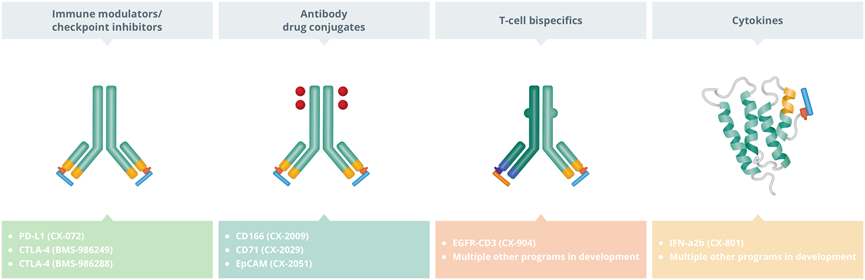 生物分析 | 抗体前药(Probody)药代动力学生物分析策略 - 知乎