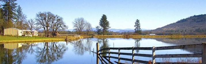 英语词语杂谈（48）brim with 与 be filled to the brim with - 知乎