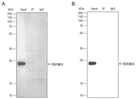 一站式IP打造|第二弹.一文搞定IP三大疑难杂症 - 知乎