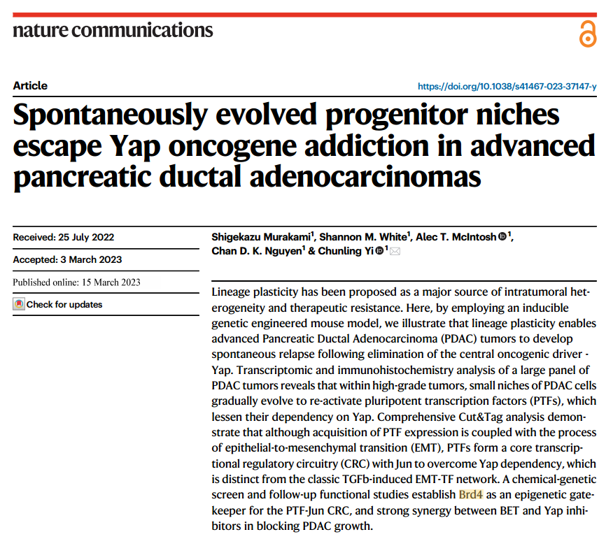 Nature commu|晚期胰腺导管腺癌中自发进化的祖细胞niches逃避Yap癌基因成瘾 - 知乎