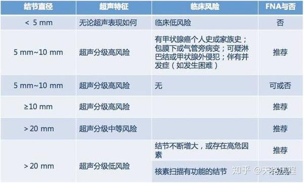 甲状腺超声检查TI-RADS分级 - 知乎