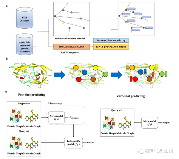 ZeroBind: 零样本的药物-靶标相互作用（DTI）预测 - 知乎