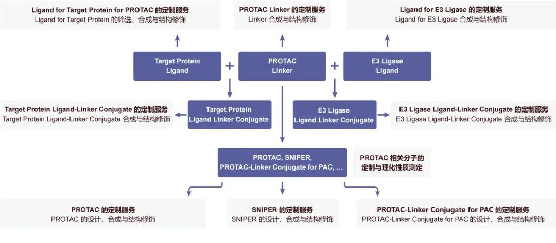 PROTAC——小分子化合物 | MedChemExpress - 知乎