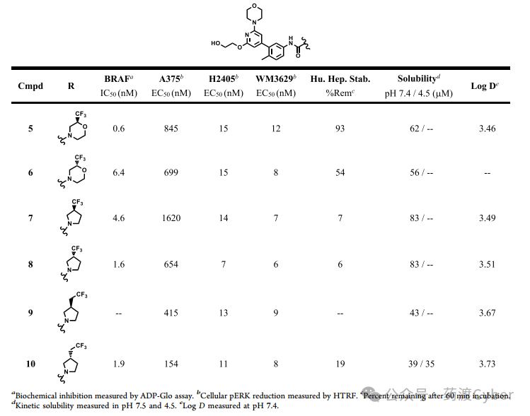 解析克服泛RAF激酶抑制的挑战：Exarafenib（KIN-2787）的发现 - 知乎
