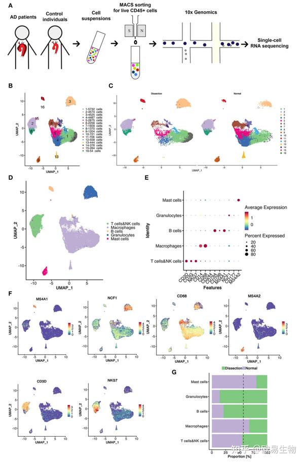 单细胞测序助力解析主动脉夹层中免疫微环境特征 - 知乎