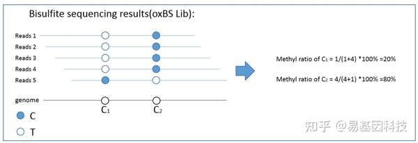 易基因｜一文读懂精准简化基因组甲基化测序(RRBS+oxRRBS)分析怎么做 - 知乎