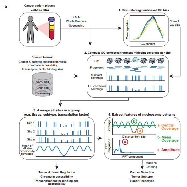 《Nature Communications》:基于cfDNA核小体的癌症分型技术！ - 知乎