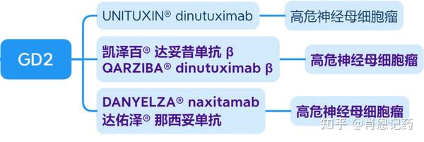 记住所有FDA生物药 | 靶向神经节苷脂GD2 | 达妥昔单抗β，那西妥单抗 | 神经母细胞瘤 - 知乎