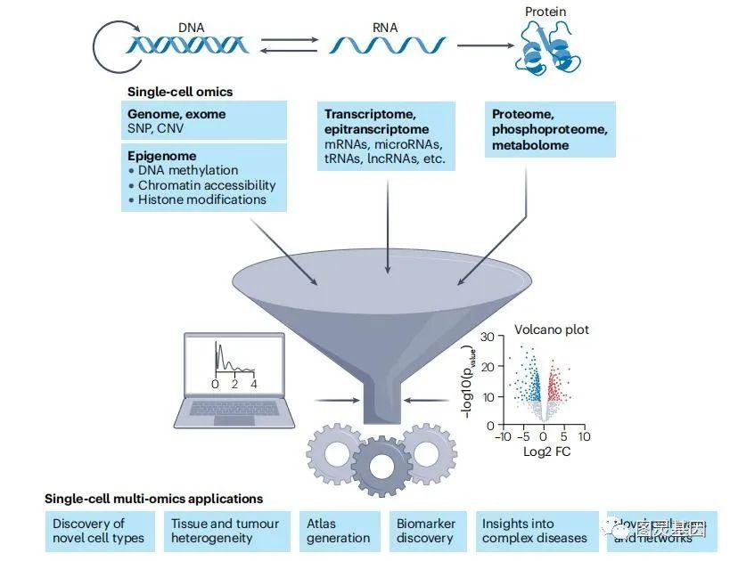 Nat Rev | 单细胞多组学的技术前景和应用 - 知乎
