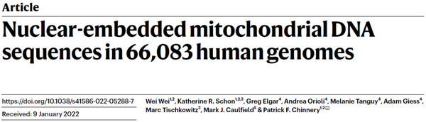 Nature | 超6万人全基因组序列分析结果揭示：线粒体DNA插入人类基因组从未停止 - 知乎