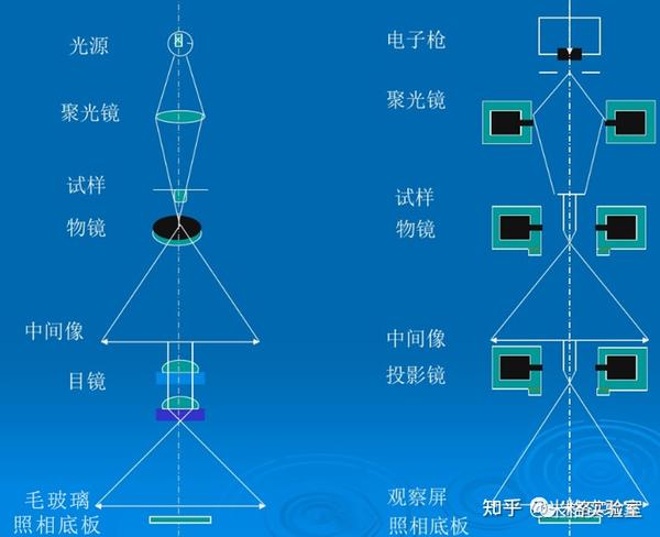 TEM成像流程简介 - 知乎