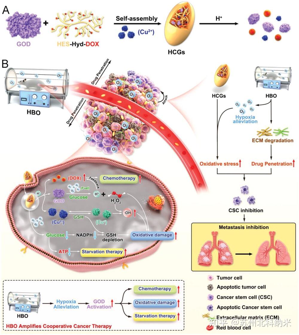 pH/NIR/GSH响应纳米材料 - 知乎