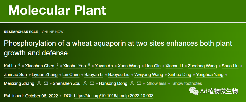 Molecular Plant | 山东农业大学研究揭示小麦水通道蛋白促进植物生长和防御的机制！ - 知乎