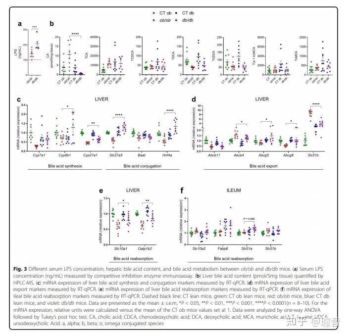 DBDB、OBOB二型糖尿病小鼠 - 知乎