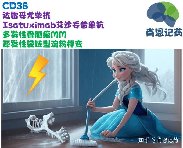 记住所有FDA生物药 | 两款CD38生物制剂 | 达雷妥尤单抗、Isatuximab艾沙妥昔单抗 | 多发性骨髓瘤等 - 知乎