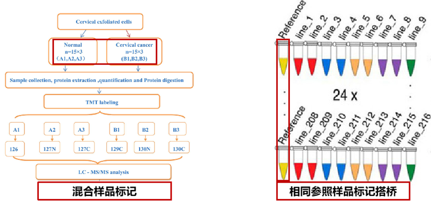 全网最详细 | TMT、LFQ和DIA傻傻分不清？一文读懂三者区别和应用 - 知乎