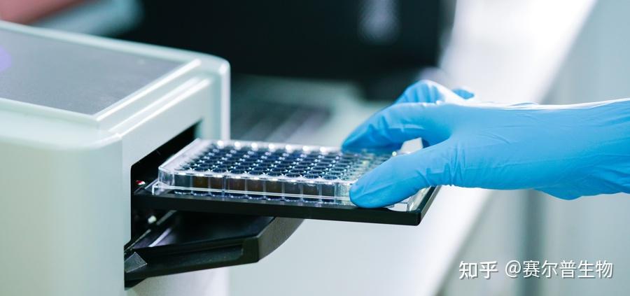 看懂这8个要素，ELISA试剂盒闭眼都能选对！ - 知乎