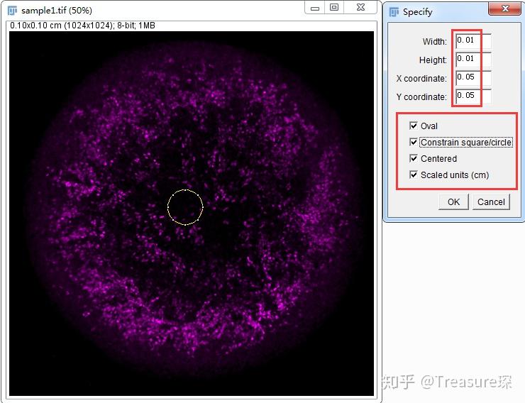 ImageJ实用技巧——径向荧光平均值检测(定量分析篇) - 知乎