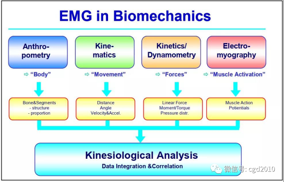 如何获取医学级精度的EMG肌电数据？ - 知乎
