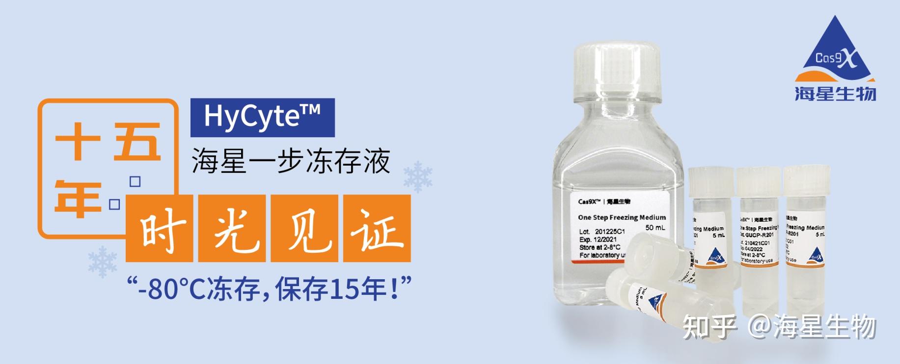 小鼠小胶质细胞(BV2)细胞培养要点 - 知乎