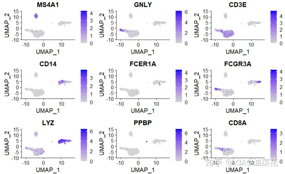 Seurat包------标准流程 - 知乎
