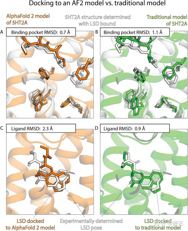使用AlphaFold2模型预测药物结合模式How accurately can one predict drug binding modes ...