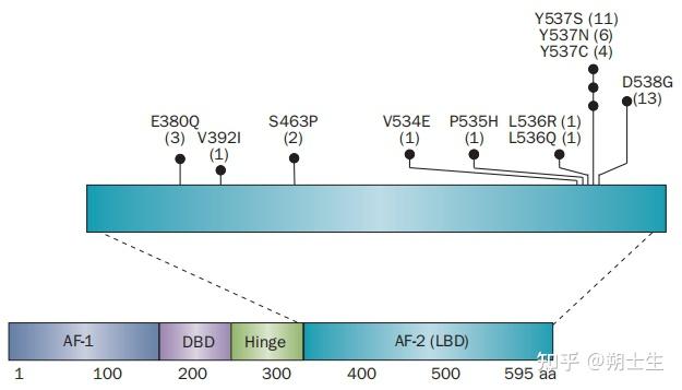 揭秘ESR1基因突变：乳腺癌内分泌治疗耐药的关键因素 - 知乎