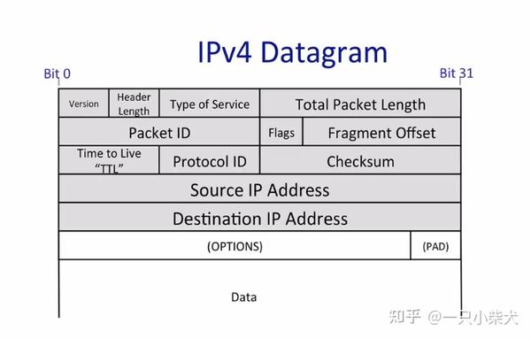 网络学习随记：the IP service model - 知乎