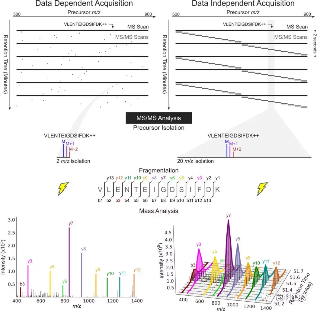 让你知道学会DIA技术是一种什么体验？ - 知乎