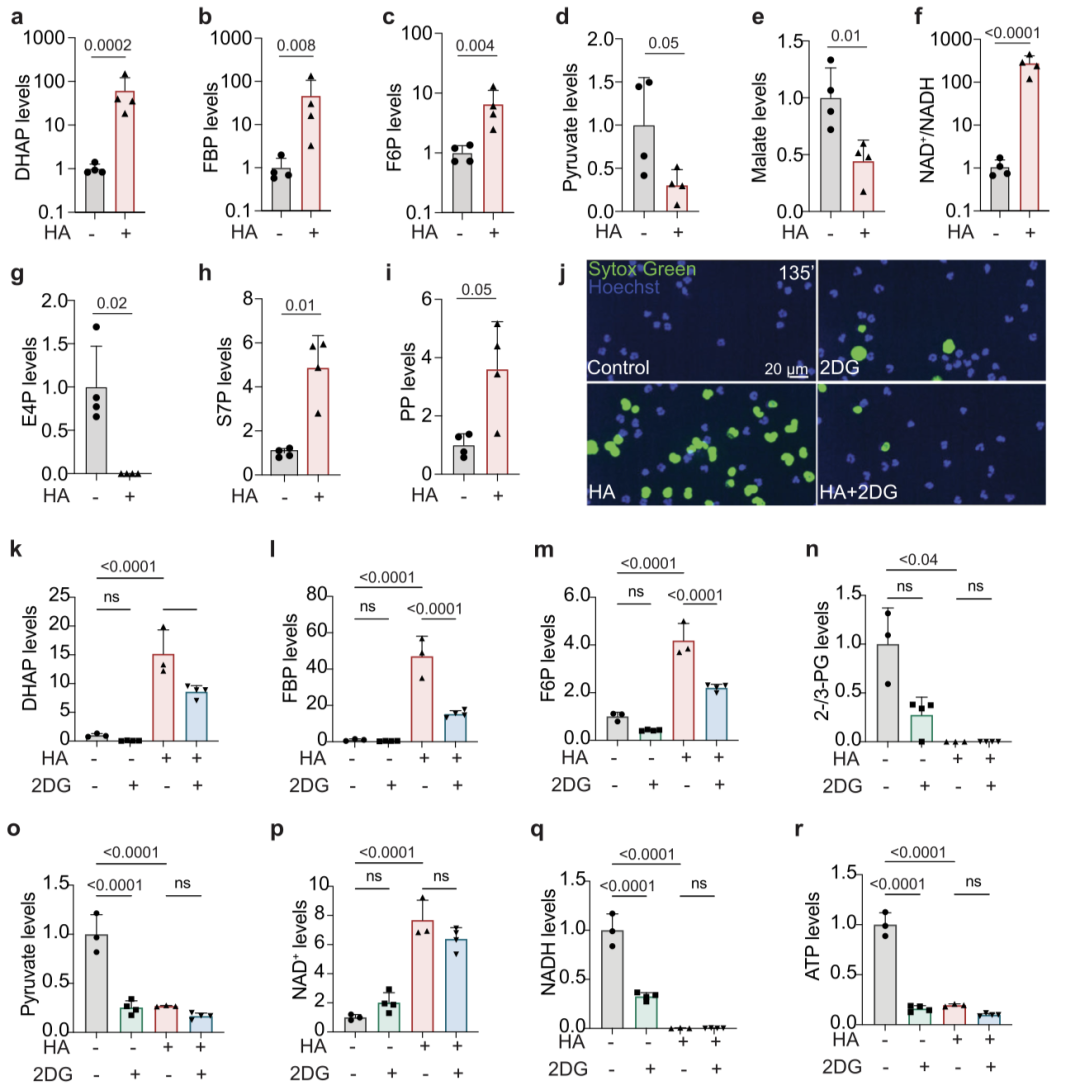 Nature子刊丨严重 COVID-19 中的中性粒细胞代谢组学揭示 GAPDH 是中性粒细胞胞外陷阱形成的抑制剂 - 知乎