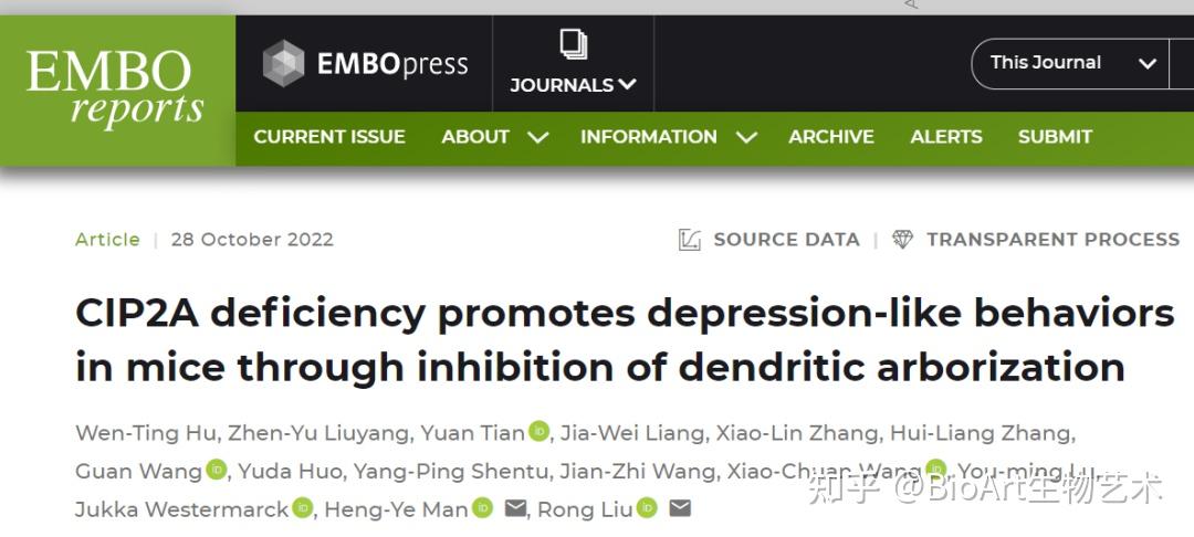 EMBO Rep | 抑郁症相关神经元损伤新机制 - 知乎