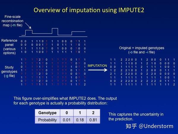 基因型填充(Genotype-Imputation)：从原理到操作 - 知乎