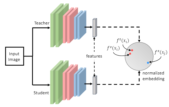 Distillation & Contrastive - 知乎