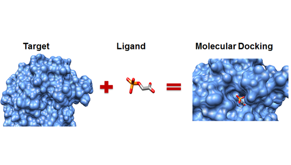 Autodock对接笔记 - 知乎