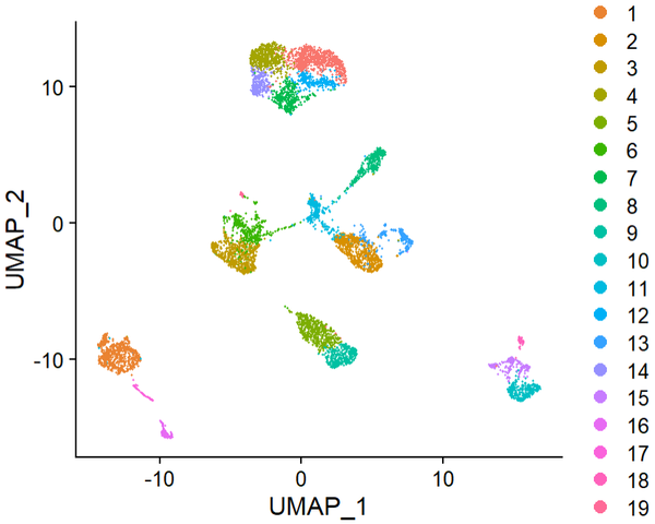 （附代码）单细胞转录组全流程整理三：scRNA-seq UMAP降维聚类 - 知乎
