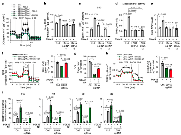 Nature Immunology丨CD40 信号重新连接脂肪酸和谷氨酰胺代谢以刺激巨噬细胞抗肿瘤发生功能 - 知乎