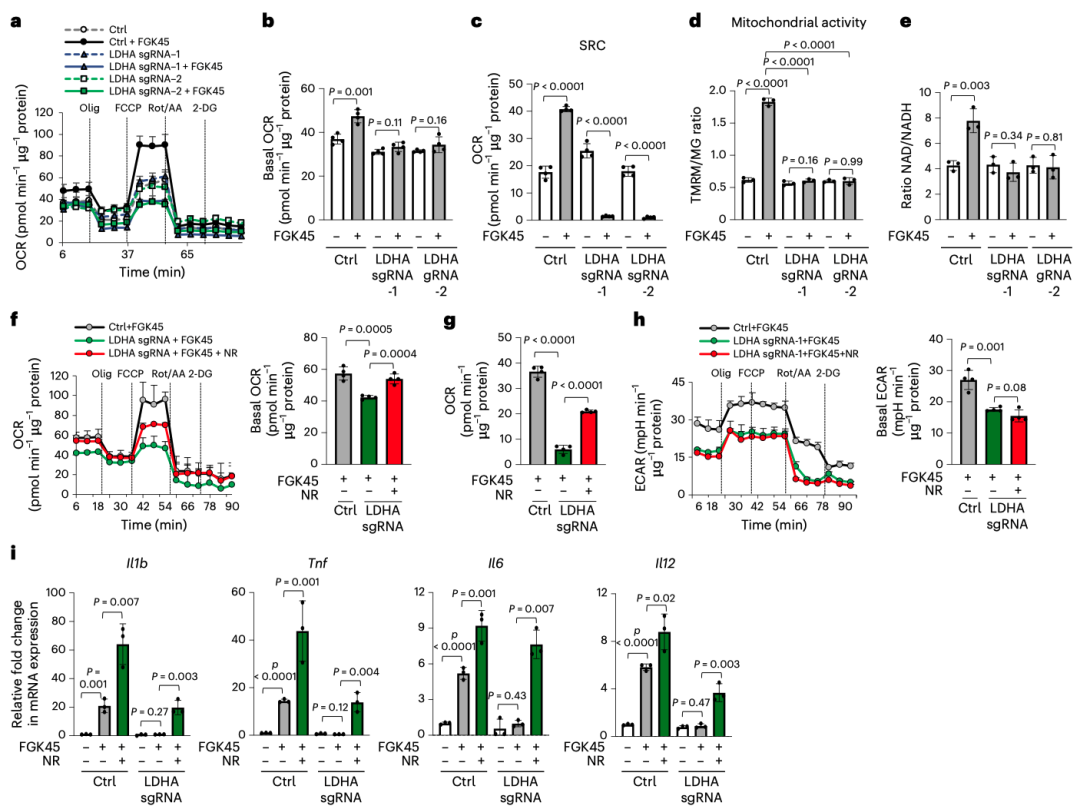 Nature Immunology丨CD40 信号重新连接脂肪酸和谷氨酰胺代谢以刺激巨噬细胞抗肿瘤发生功能 - 知乎