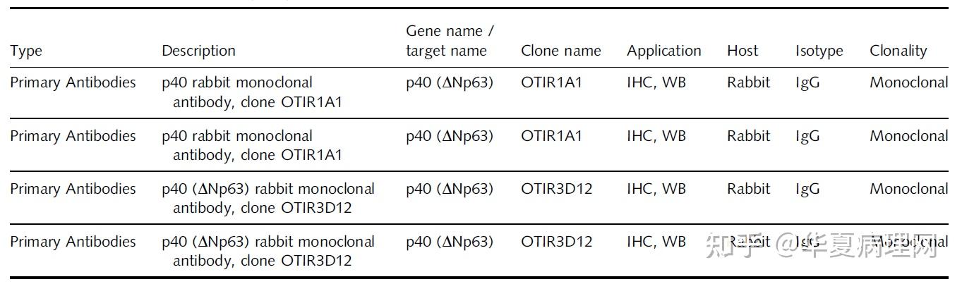乳腺病理中的免疫组化p63（一） - 知乎