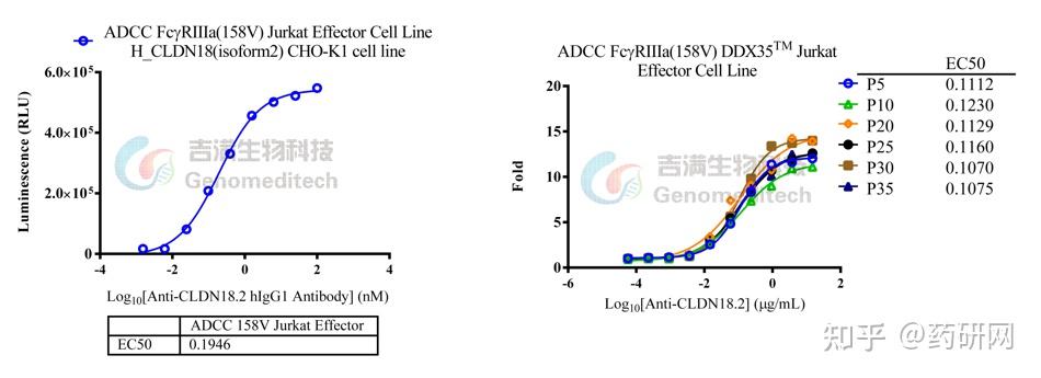 抗体三大作用机制：ADCC/ADCP/CDC - 知乎