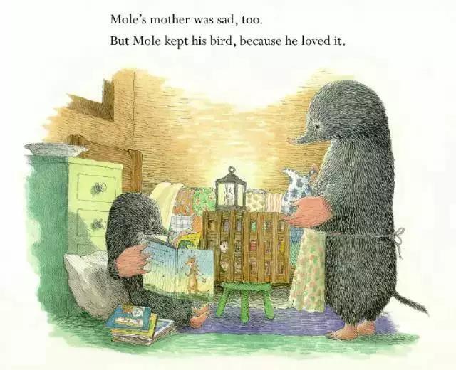 绘本故事 | Mole And The Baby Bird - 知乎