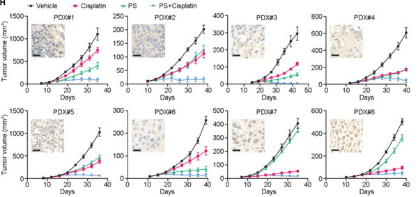 Cell Rep︱刘芝华团队揭示去泛素化酶OTUB2的抑癌机制 - 知乎