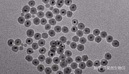 PEG-NH2，氨基PEG修饰金磁微粒，PEG-Amine修饰Gold Mag - 知乎