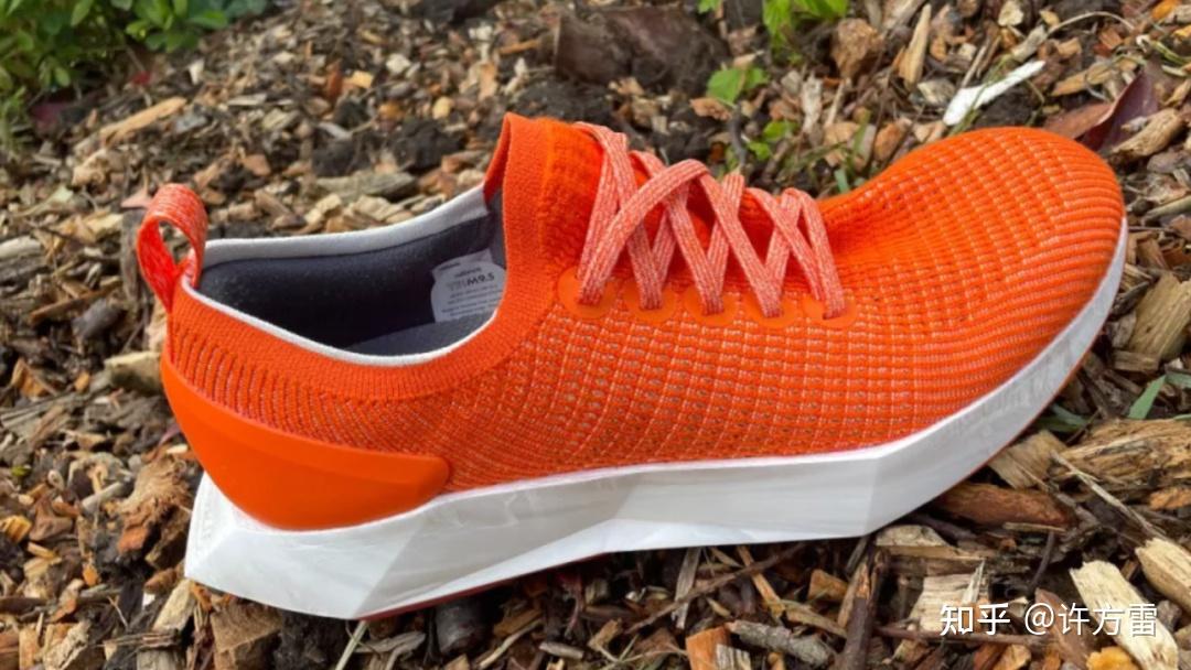 Allbirds 
