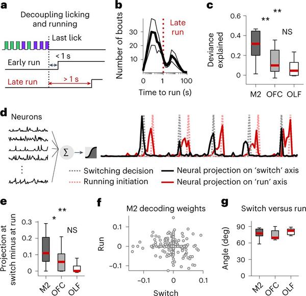 Nat Neurosci：最新研究进一步揭秘大脑在觅食过程中的决策变量 - 知乎